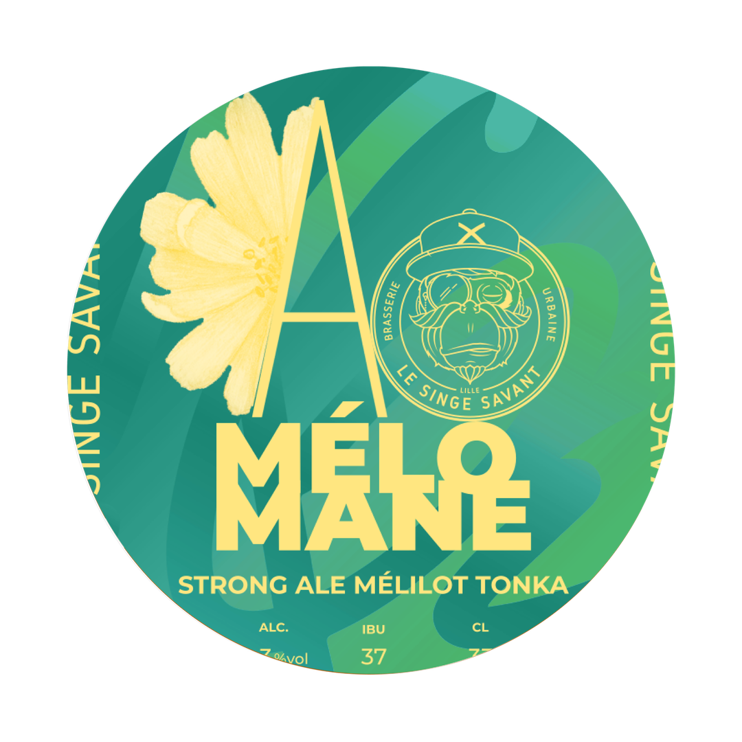 Micro-brasserie Le Singe Savant, Lille